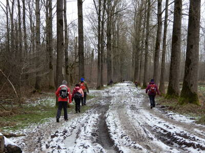 Home - wvs OLAT (powered by e-captain.nl)