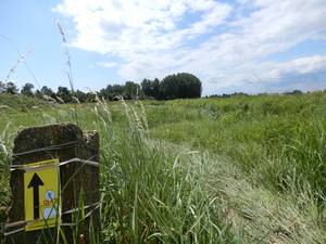 Verslag OLAT Wandeldagen (OWD) 2022 - wvs OLAT (powered by e-captain.nl)